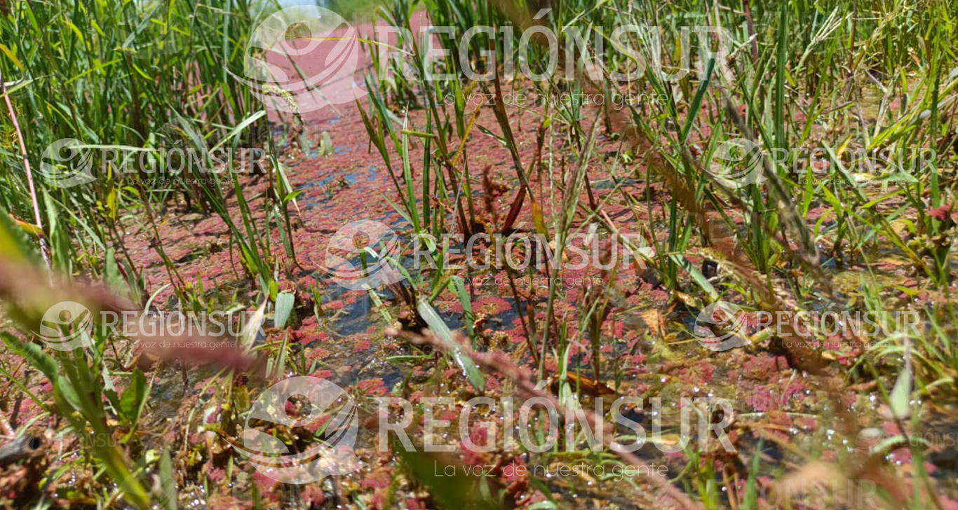 El Lago de Sangre resurge: el misterioso color rojo en la Laguna de ...